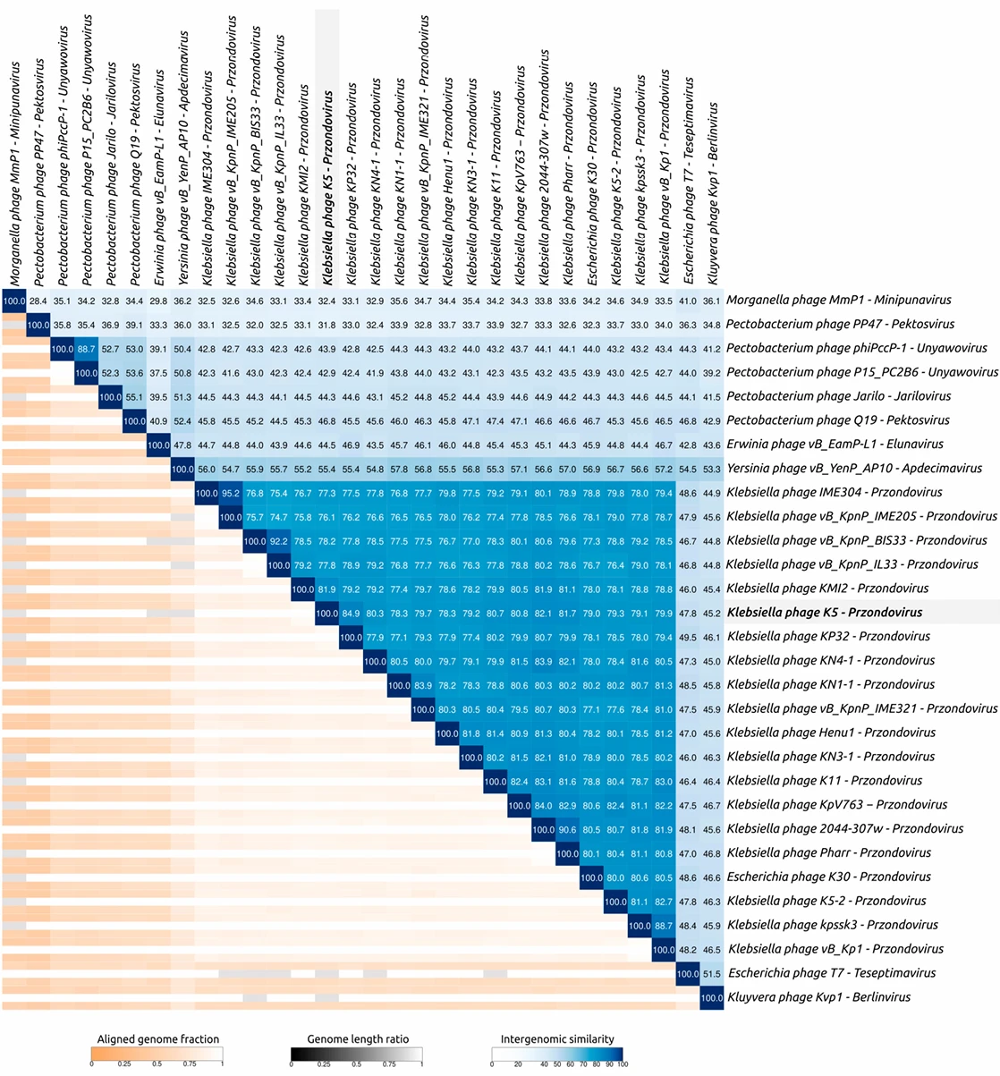噬菌体的分类与命名：从传统形态到基因组学 - 哔哩哔哩