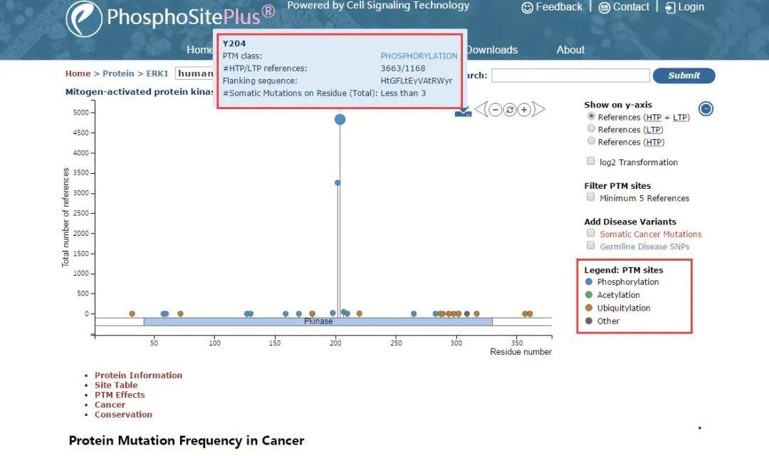 9个 Western Blot 工具，帮你搞定实验最关键的一步！ - 哔哩哔哩