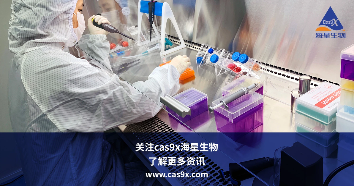 人前列腺癌细胞(Lncap)培养注意要点 - 哔哩哔哩