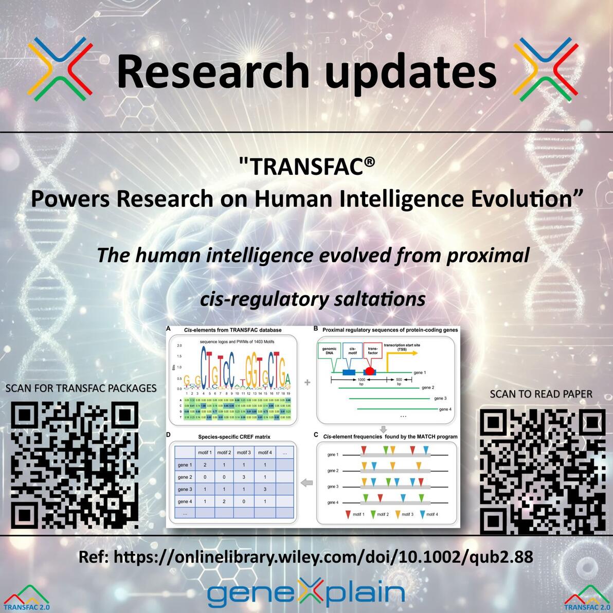 TRANSFAC 助力人类智力进化研究 - 哔哩哔哩
