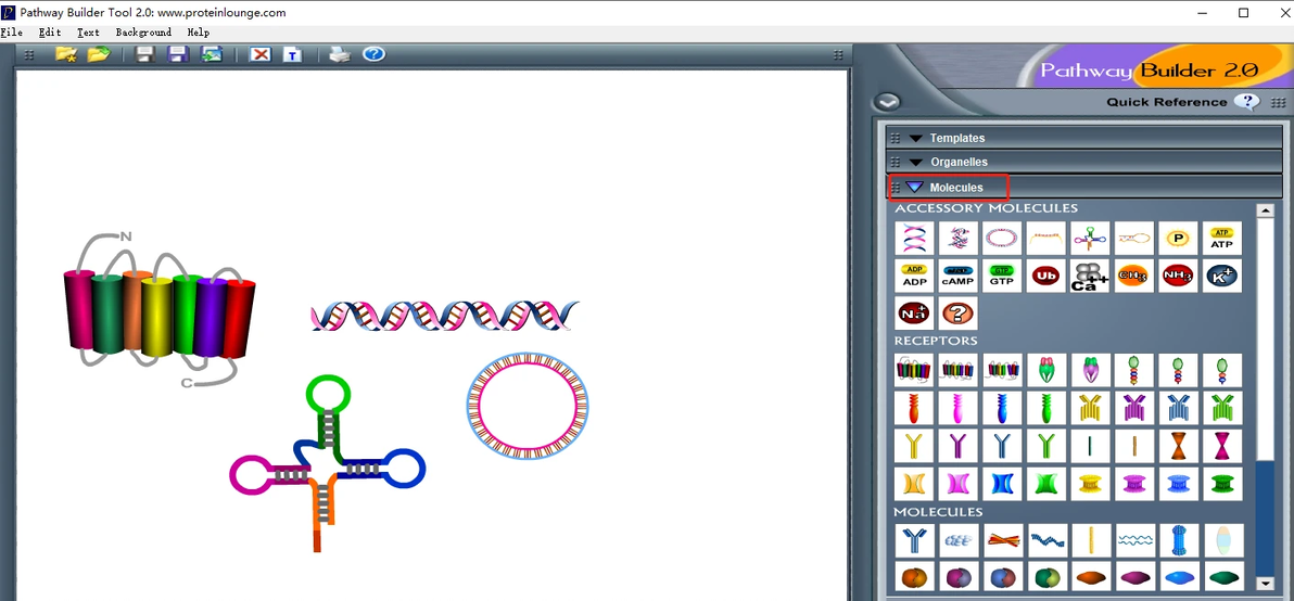 Pathway Builder Tool，分分钟搞定高大上的细胞信号通路图！ - 哔哩哔哩