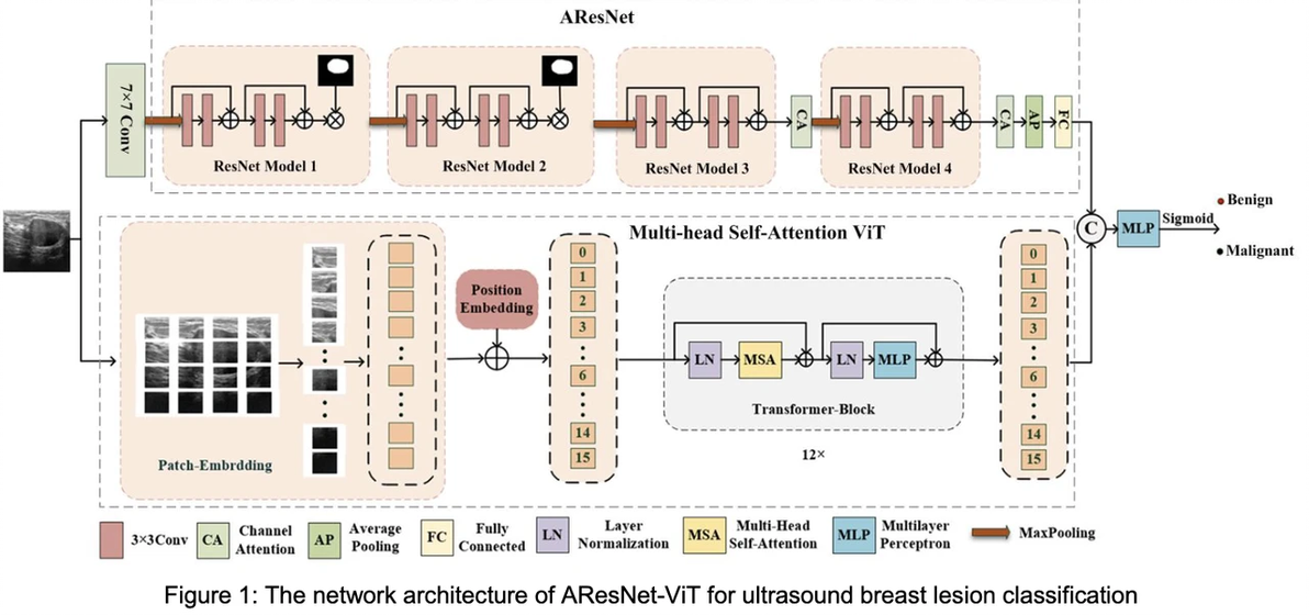 王炸联合！CNN+ViT混合模型包揽整个图像任务领域！ - 哔哩哔哩