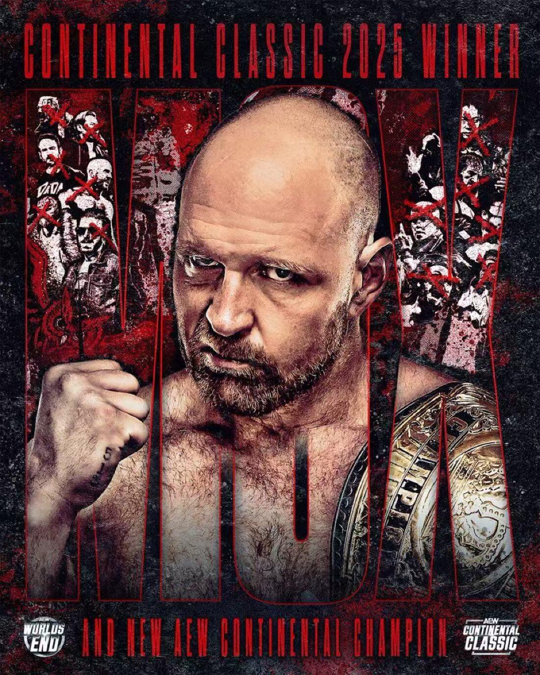 12月28日摔角新闻--（透）WWE和AEW伤病统计 - 哔哩哔哩