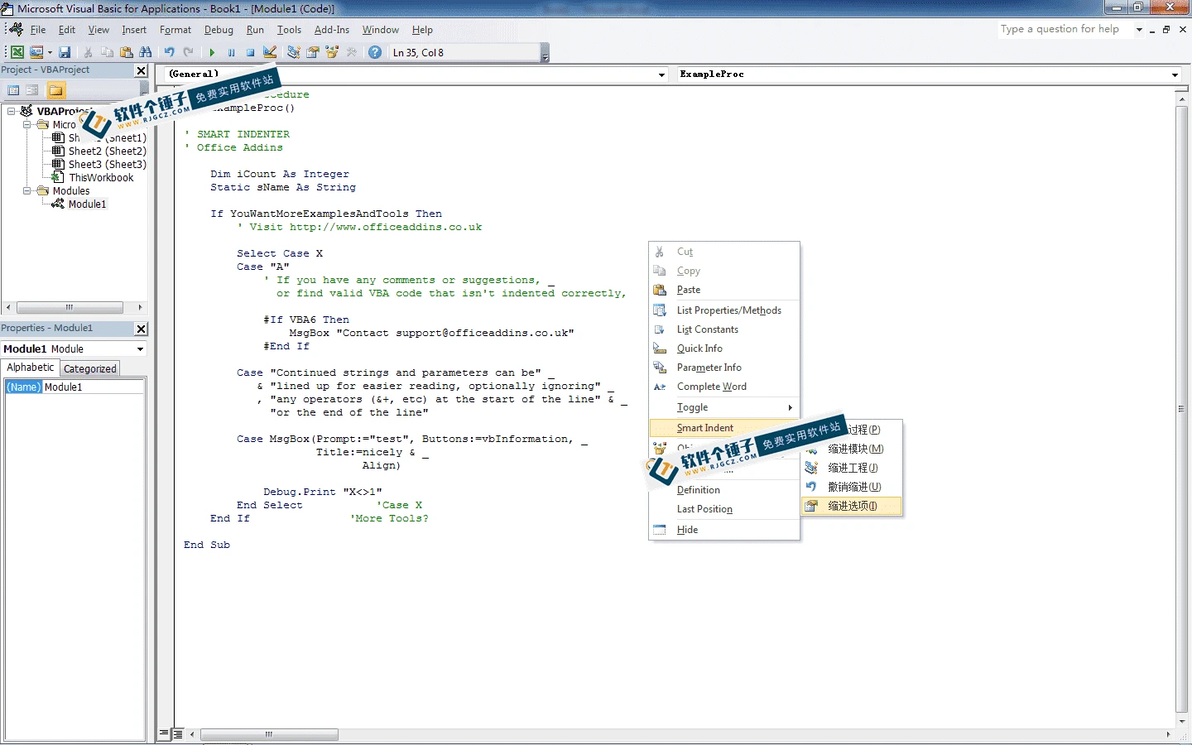 代码格式化工具 Smart Indenter for VBA 完美汉化破姐版 - 哔哩哔哩