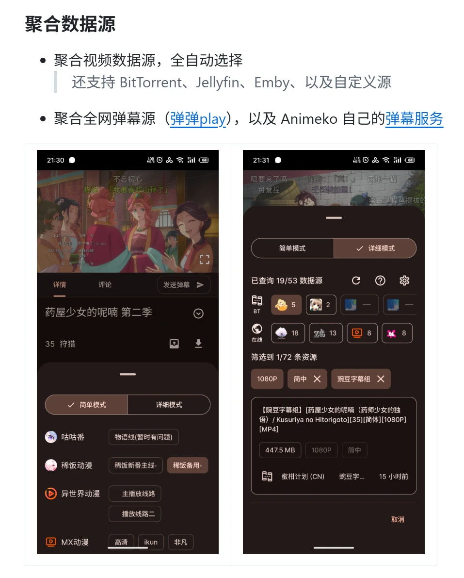 本地弹幕播放器，NipaPlay软件体验 - 哔哩哔哩