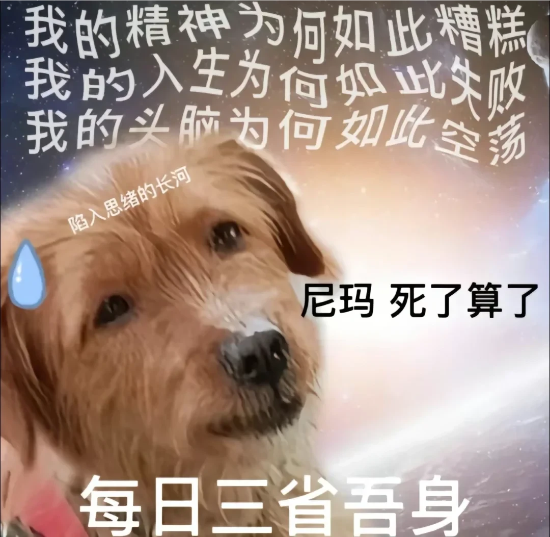 发疯表情包合集！人哪有不疯的？ - 哔哩哔哩