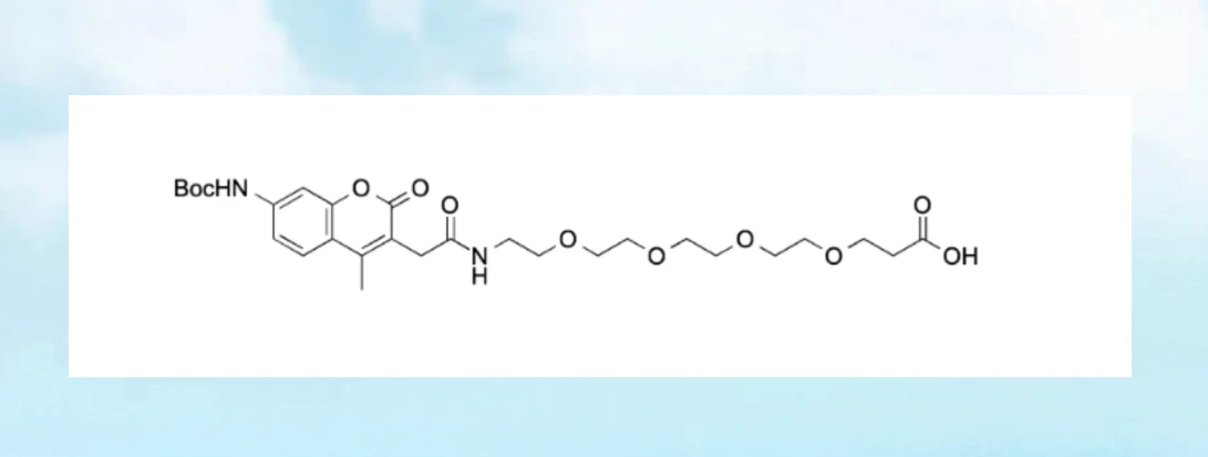 来看看：AMCA-PEG4-Acid的核心特点，了解为何值得使用？ - 哔哩哔哩
