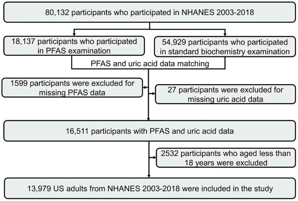 复旦学者用NHANES数据库做混合物分析，再加中介，不愧一区Top！ - 哔哩哔哩