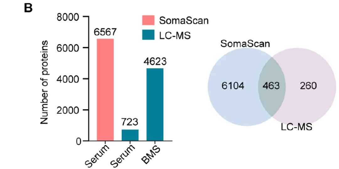 Cell Metab | 国内首篇！南医大白晓春/邹志鹏等团队通过somascan蛋白组+单细胞多组学 - 哔哩哔哩