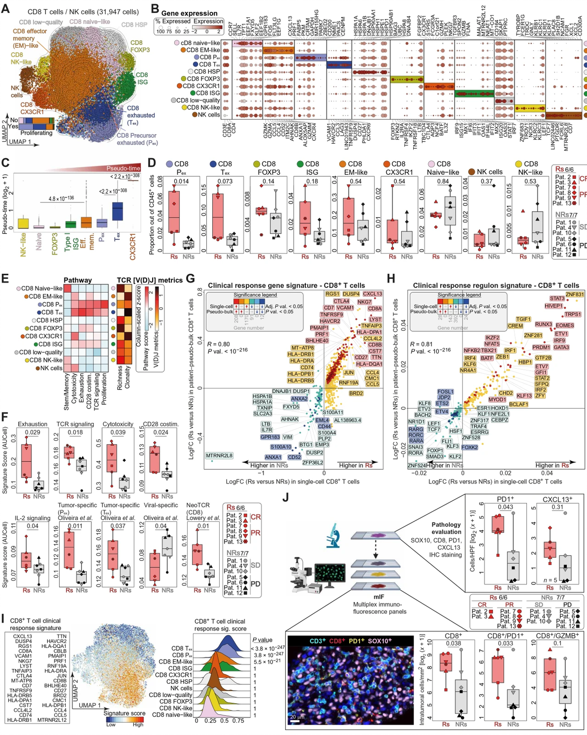 Sci Immunol（IF=24.8）| 单细胞联合多组学揭秘CD8+ T细胞网络如何助力黑色素瘤消退 - 哔哩哔哩