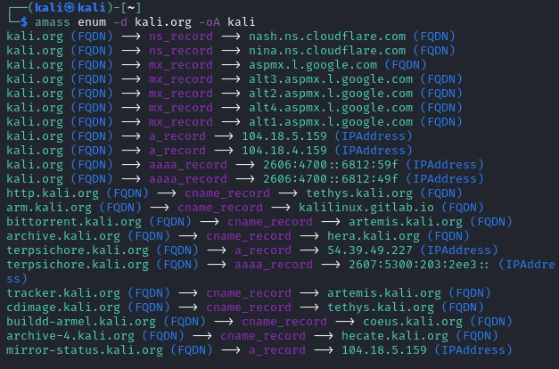 amass：深入攻击面映射和资产发现工具！全参数详细教程！Kali Linux教程！ - 哔哩哔哩