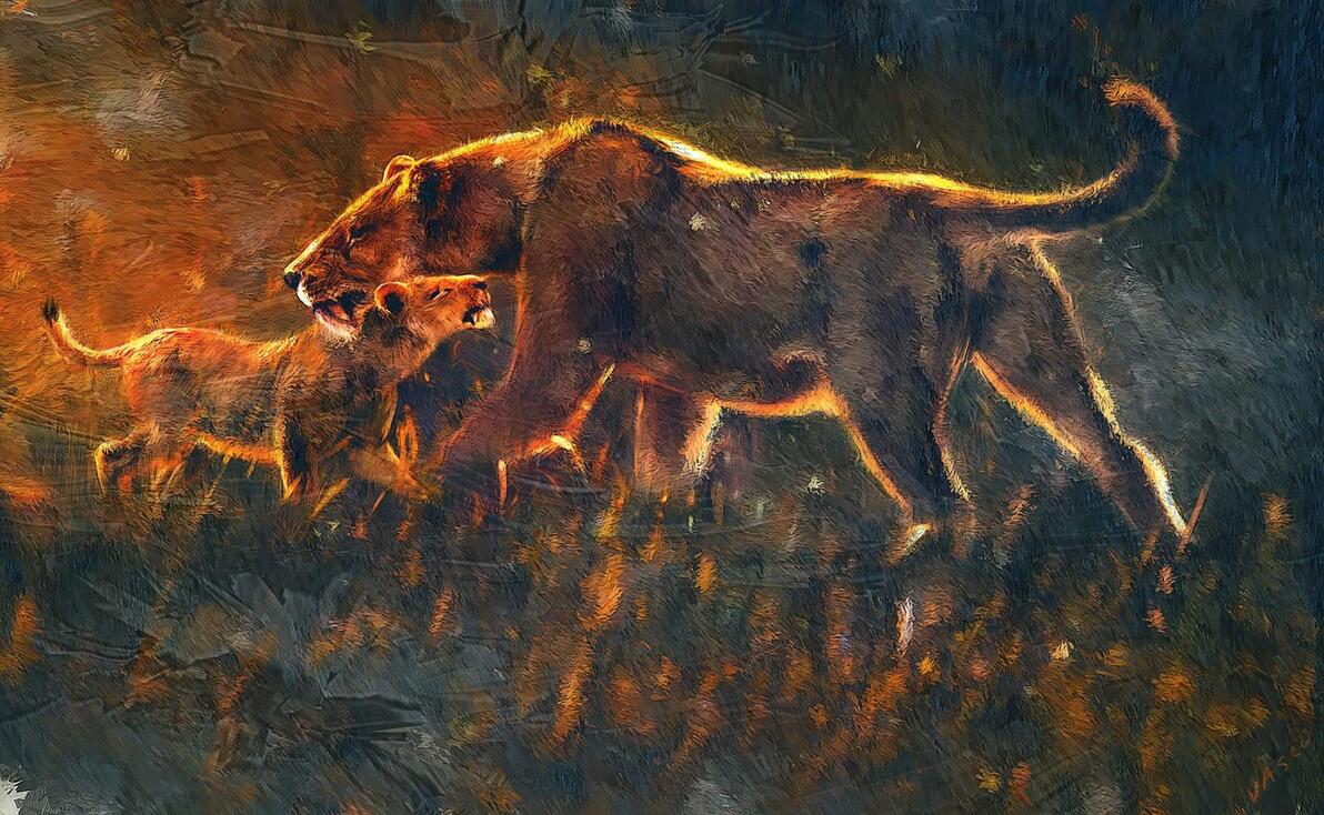 剑齿虎亚科的拉丁学名与中文译名对照 - 哔哩哔哩