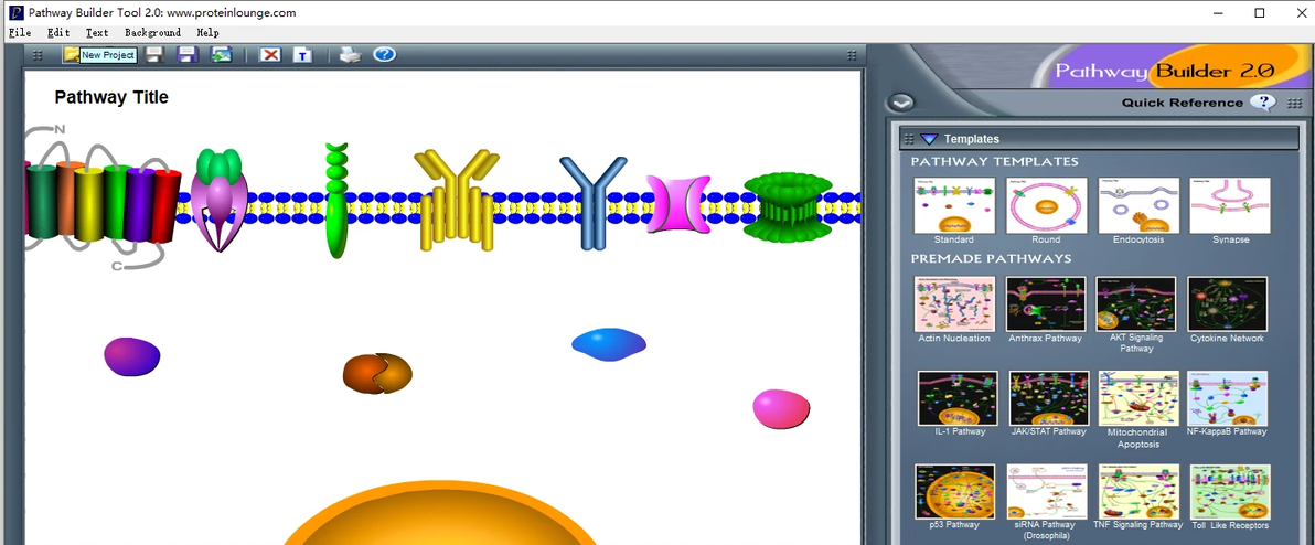 Pathway Builder Tool，分分钟搞定高大上的细胞信号通路图！ - 哔哩哔哩