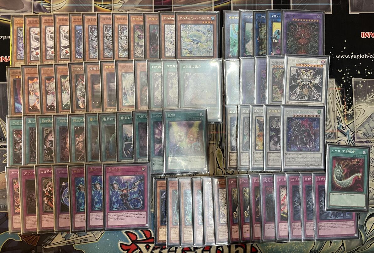 【2025.3.22】龙道卡牌OCG积分赛（48人） - 哔哩哔哩