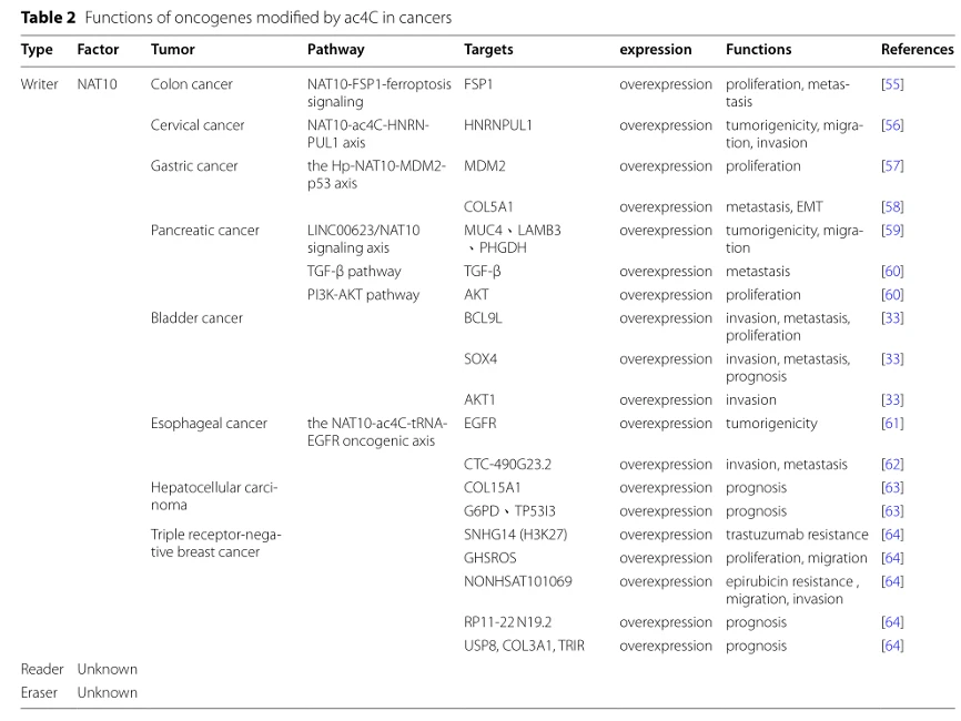 RNA修饰N4-乙酰胞苷（ac4C）的调控机制、检测方法及其在癌症中的研究进展 - 哔哩哔哩