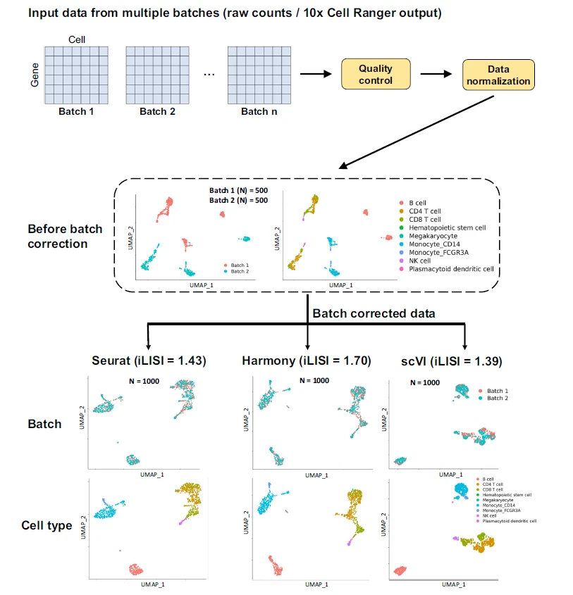 ezSingleCell || 零代码单细胞数据分析平台介绍 - 哔哩哔哩