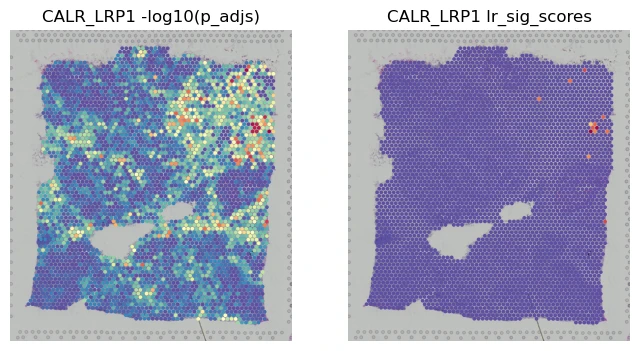 【代码分享93】超详细！手把手级Python stlearn空间转录组CCI细胞相互作用分析（一） - 哔哩哔哩