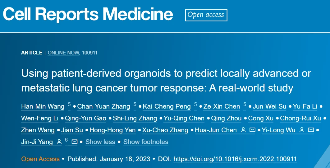 IF=16.988丨Cell Rep Med：利用患者来源的类器官预测局部晚期肺癌或转移性肺癌的肿瘤 - 哔哩哔哩