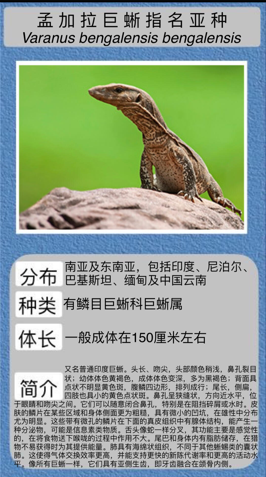 爬行类快餐式科普第五弹 - 哔哩哔哩