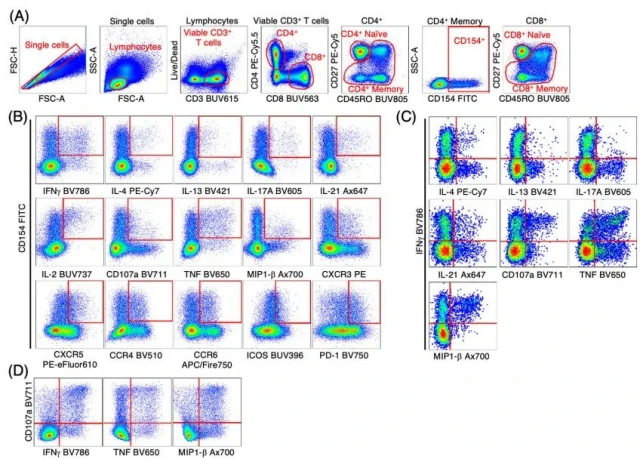 T 细胞研究的流式解决方案（完整版） - 哔哩哔哩