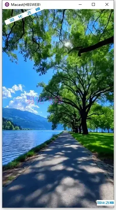 Macast v0.7软件安装教程(附软件下载地址) - 哔哩哔哩