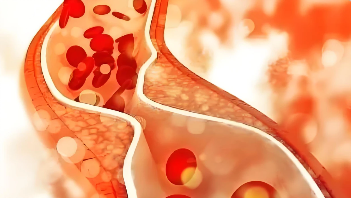 化妆品配方师资格认证培训流程学习内容-美妆原料创新：长双歧杆菌溶胞产物高端突围 - 哔哩哔哩