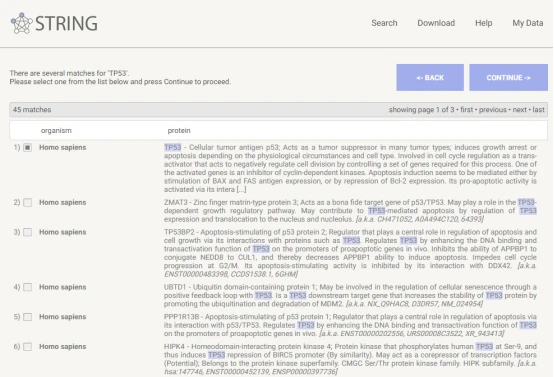 常用网站介绍|蛋白互作数据库STRING - 哔哩哔哩