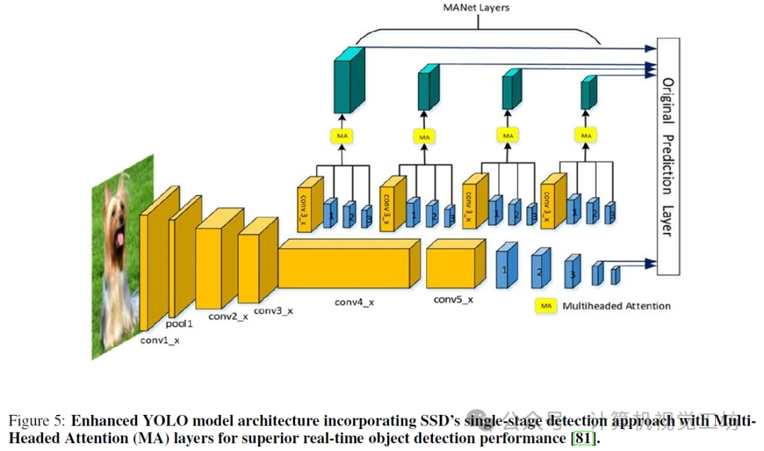 必读综述！YOLO十年之约：从起源到YOLOv10 - 哔哩哔哩