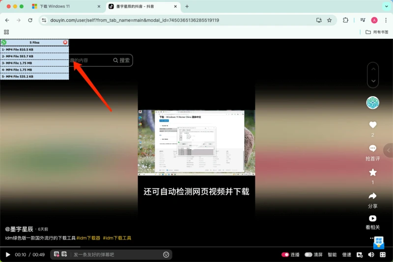 NDM下载器免费高速支持windows和mac - 哔哩哔哩
