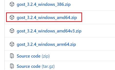 使用Gost替换Frp实现内网穿透为BT下载开放端口 - 哔哩哔哩