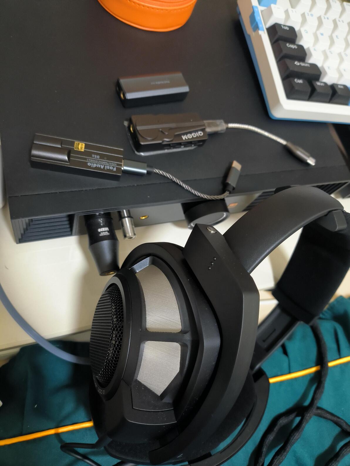 简单评价一下ds1和ds2两个小尾巴 - 哔哩哔哩