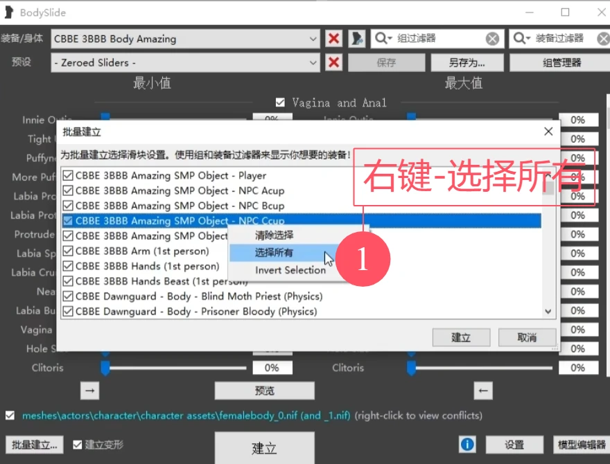 上古卷轴5-Obody NG-独立更换自己/NPC身形3BA-NPC随机身形 - 哔哩哔哩