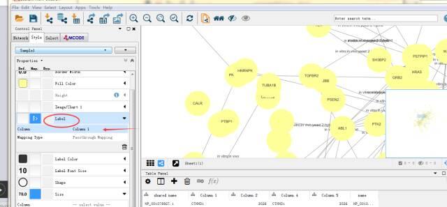 一网打尽：cytoscape详细教程 - 哔哩哔哩