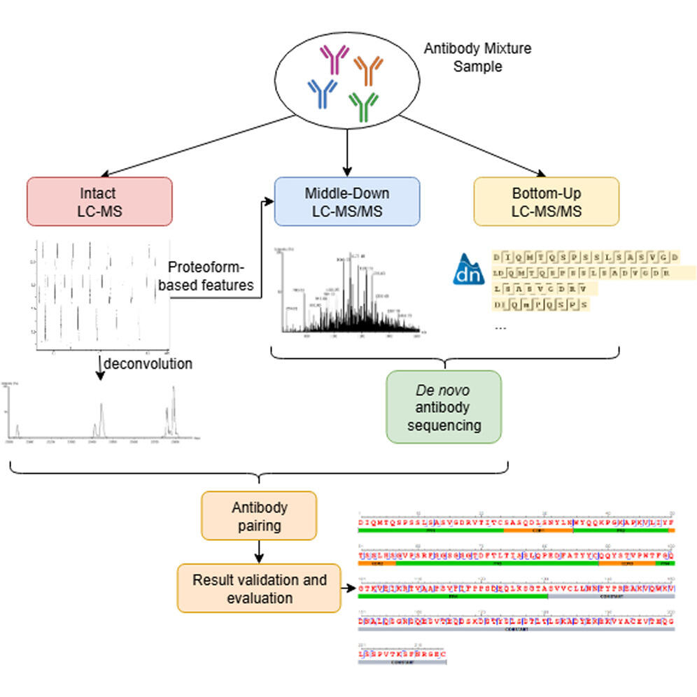 首个多克隆抗体从头测序软件！PolySeq.AI利用3种质谱技术实现99%+准确 - 哔哩哔哩