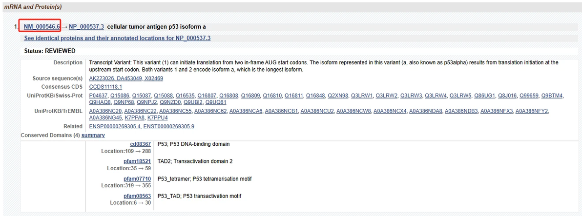 0基础教程 | Oligo 7 设计和分析PCR引物的保姆级教程（带Oligo 7安装包） - 哔哩哔哩