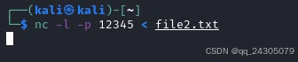 nc工具！Netcat：TCP/IP瑞士军刀！全参数详细教程！Kali Linux教程！ - 哔哩哔哩