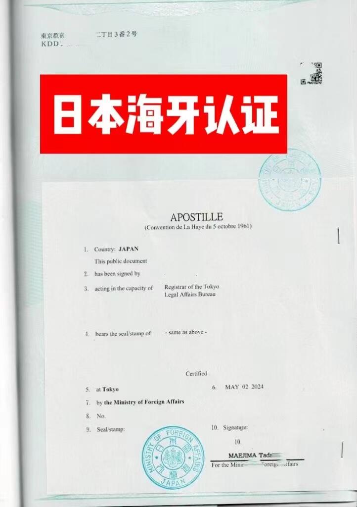 2025日本公证海牙认证Apostille实操步骤很简单 - 哔哩哔哩