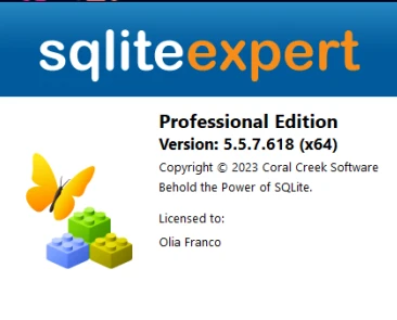 数据库开发管理 SQLite Expert Professional v5.5. - 哔哩哔哩