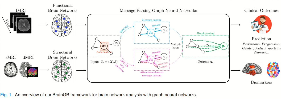 《论文解读》BrainGB：用于脑网络分析的图神经网络基准框架 - 哔哩哔哩