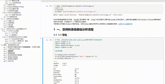 学会这些包，空转分析一网打尽！Stereopy、Squidpy、Seurat、S - 哔哩哔哩