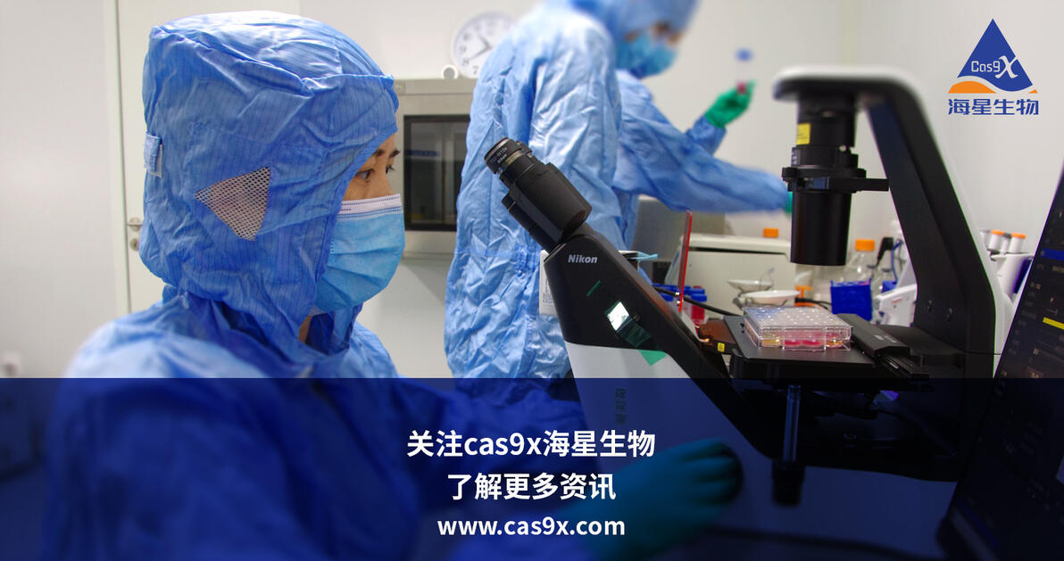 CRISPR screening—sgRNA pool构建流程 - 哔哩哔哩