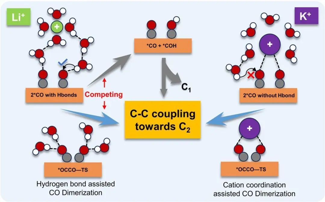 JACS：C-C耦合新设计！阳离子诱导疏水界面促进电催化CO2RR - 哔哩哔哩