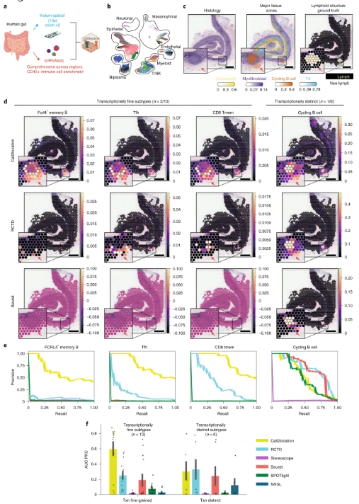 《NBT》| Cell2location注释空间数据细胞 - 哔哩哔哩