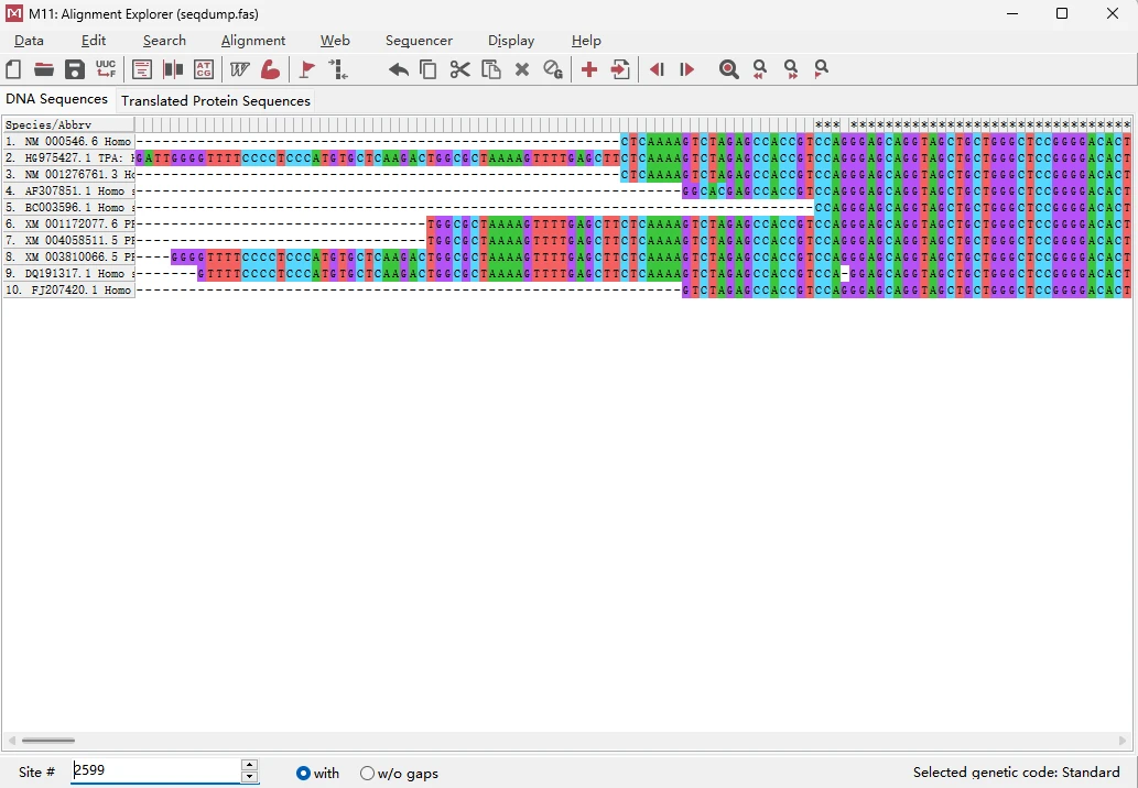 如何使用MEGA 11完成多序列比对和系统发育树构建图？ - 哔哩哔哩