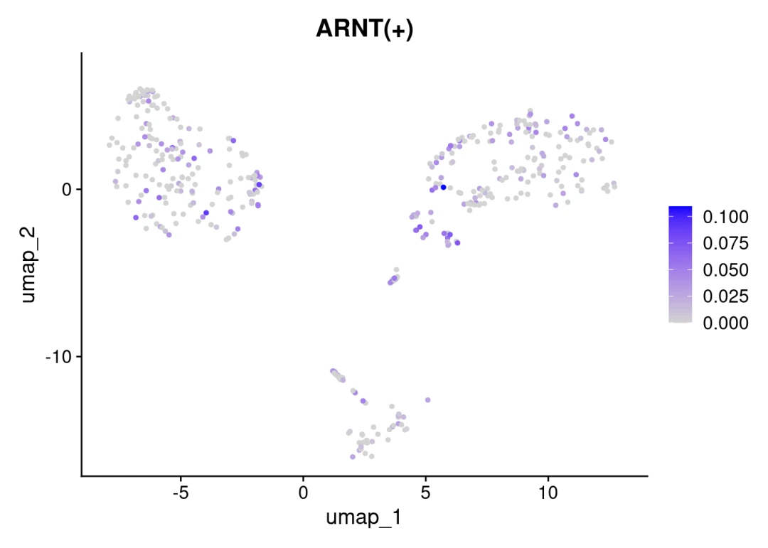 非模式物种PySCENIC分析流程 - 哔哩哔哩