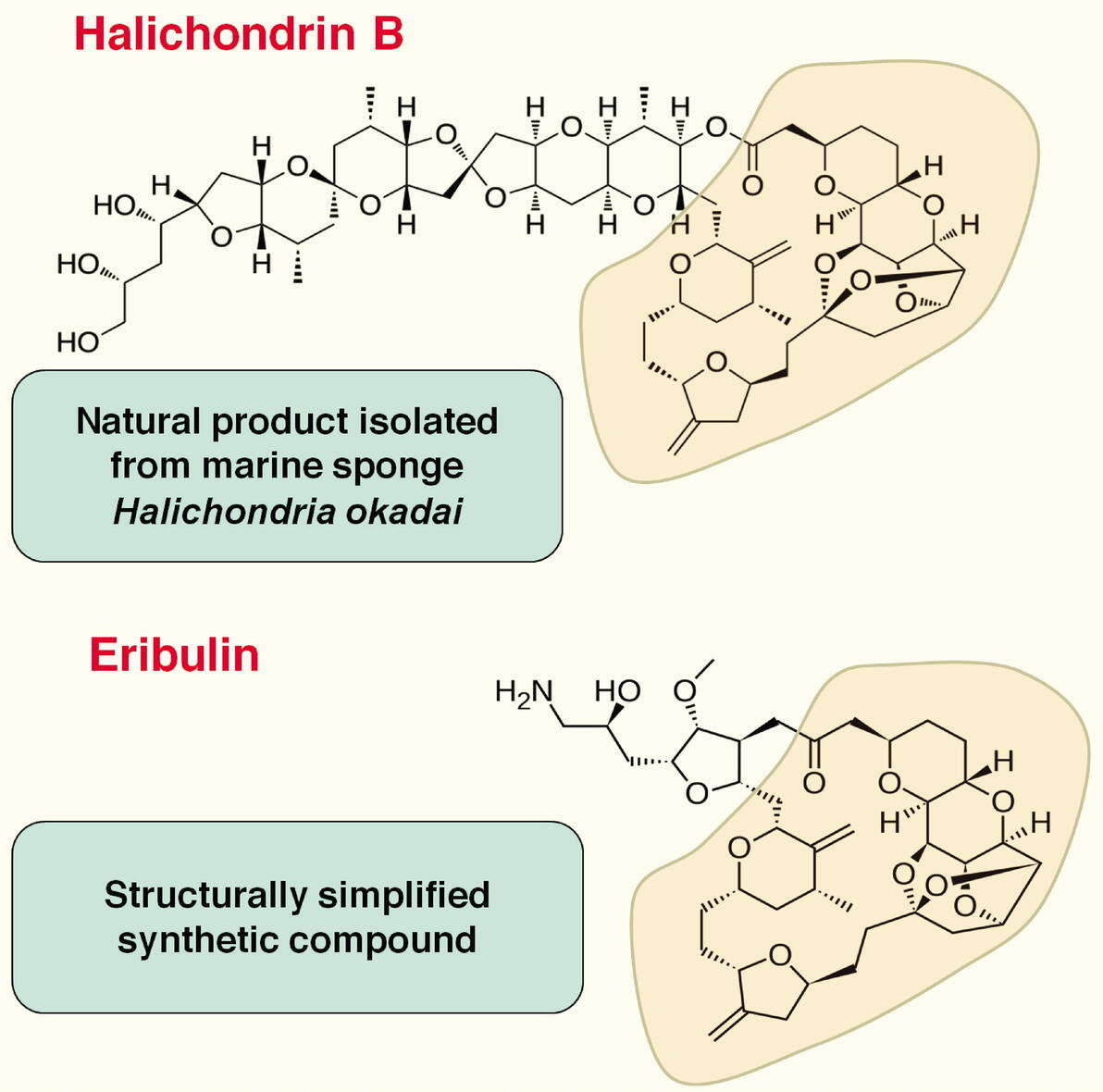 抗艾日布林抗体 anti-Eribulin antibody - 哔哩哔哩