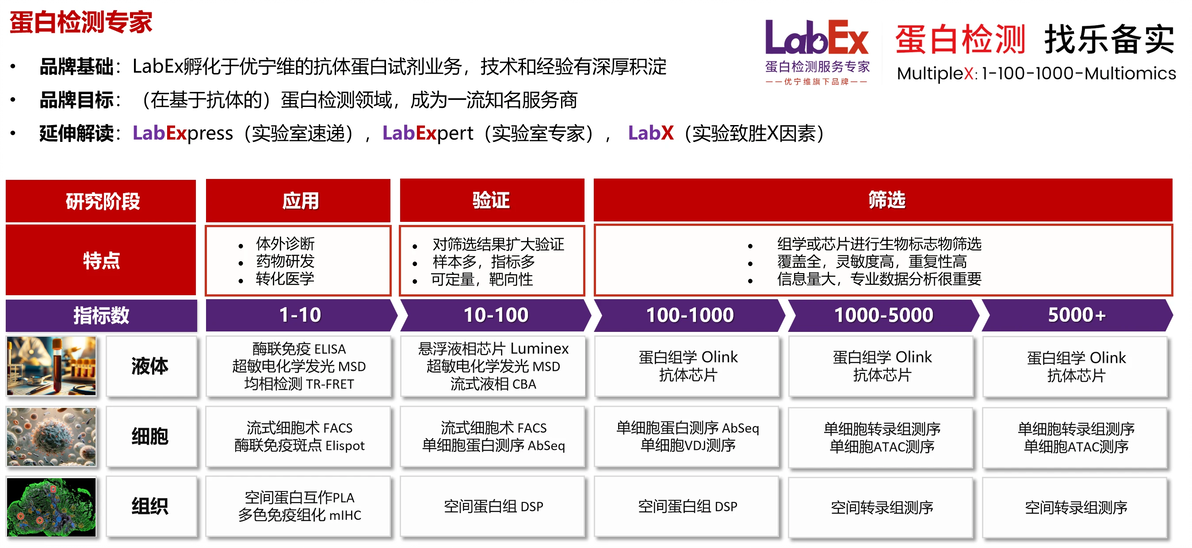 邻位连接技术（PLA）：原理、流程与在细胞内蛋白相互作用研究中的应用 - 哔哩哔哩