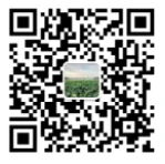 LucidShape光学仿真软件：精确模拟复杂的汽车照明 - 哔哩哔哩