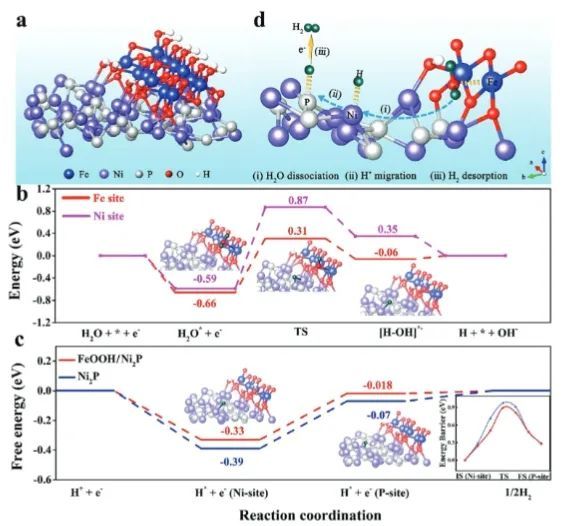 湖大AFM: 阳离子诱导深度重构与自优化，提升电催化水分解性能 - 哔哩哔哩