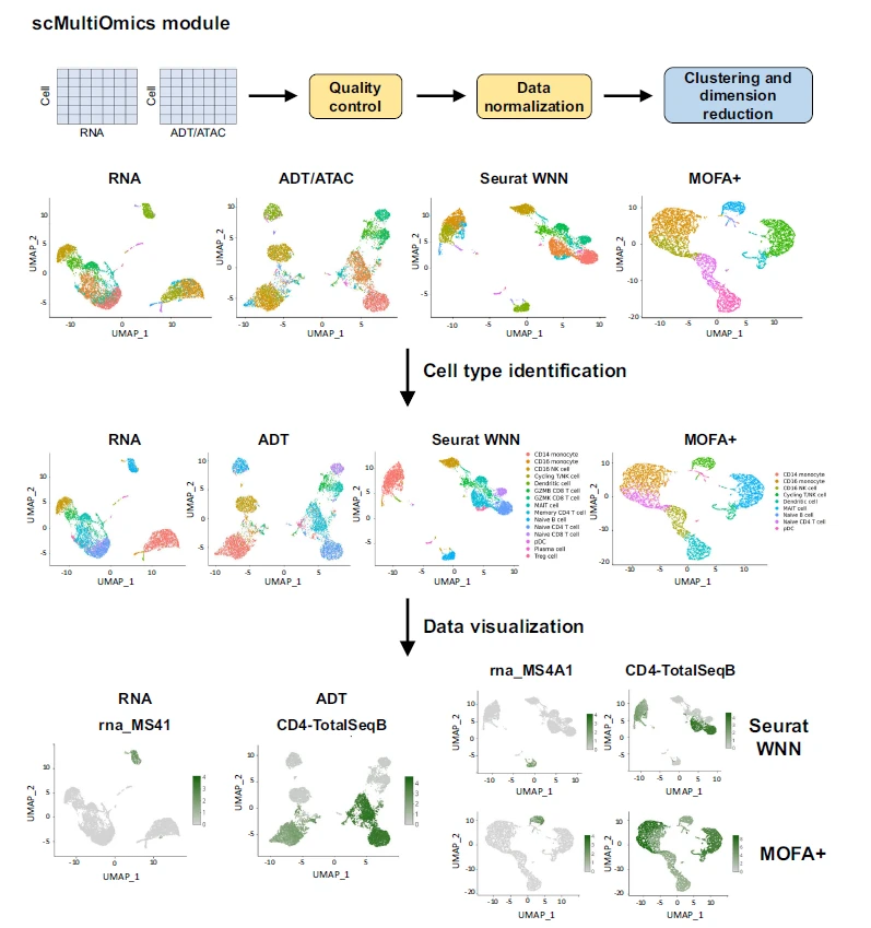 ezSingleCell || 零代码单细胞数据分析平台介绍 - 哔哩哔哩